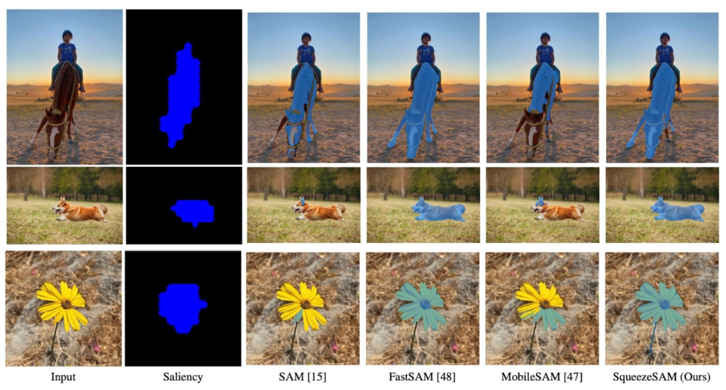 Pioneering AI Efficiency: Efficient Segmentation Models | At Scale ...